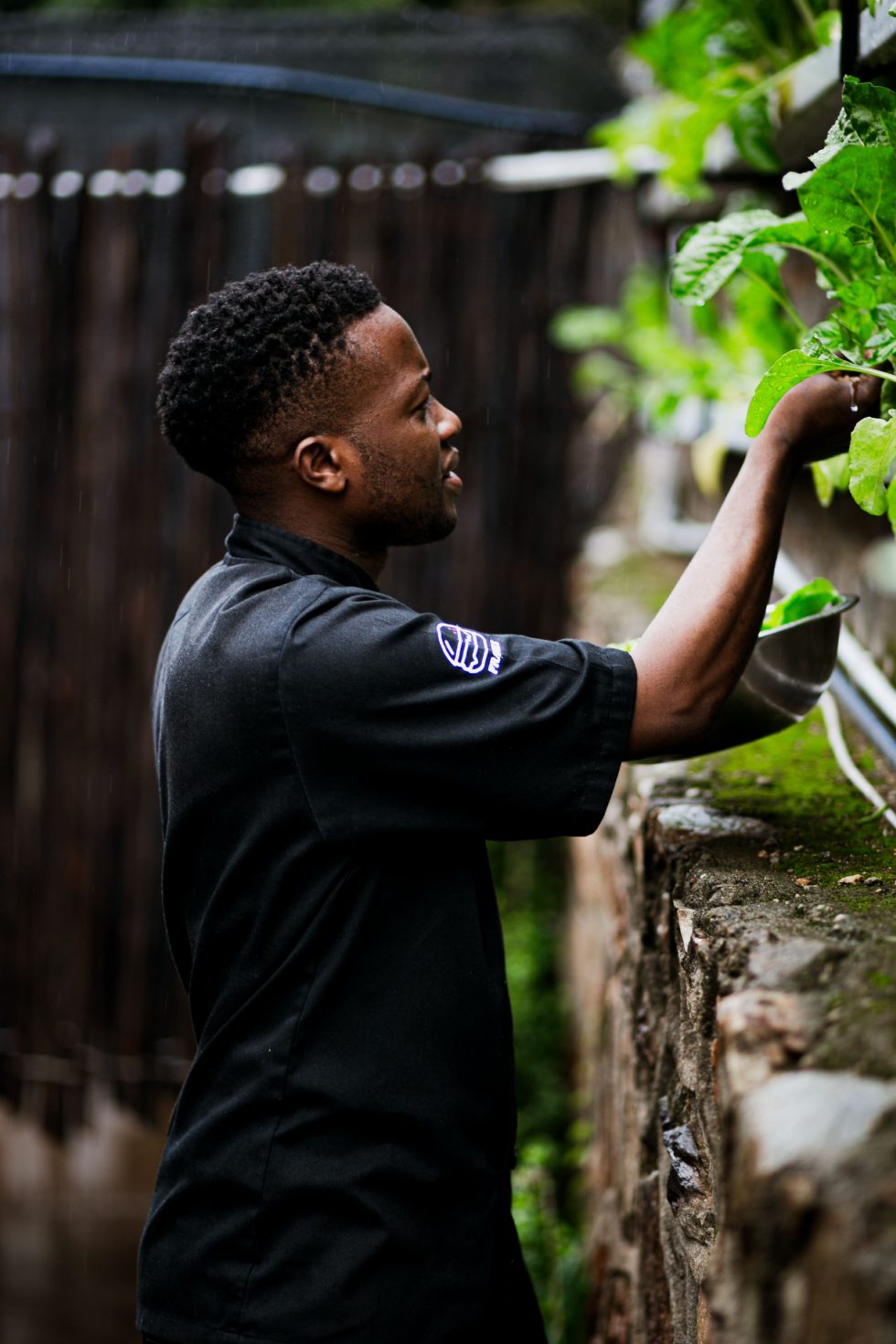 Franks Burgers | Authentic Flavours, Jozi's Best